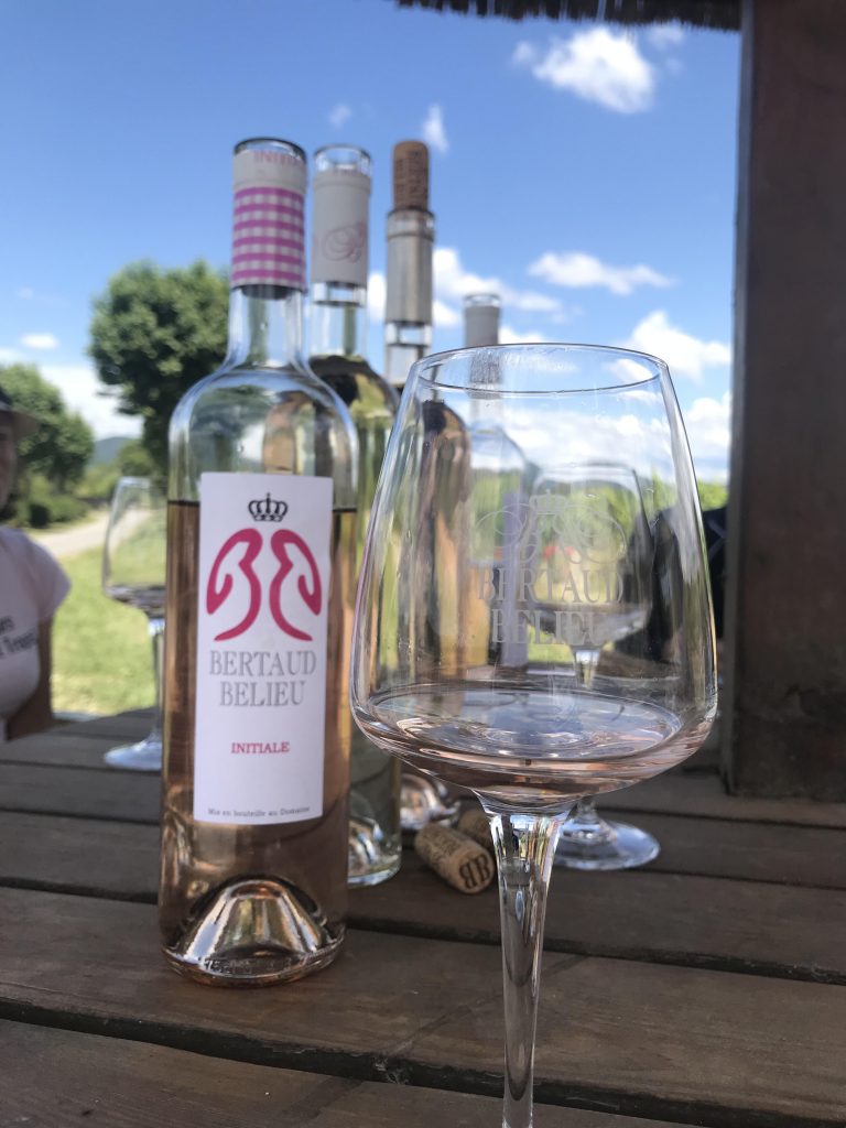 Provence's best wine tour - unforgettable wine tasting | Twice Agency